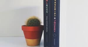 Input Validation In JavaScript: How To Validate Names